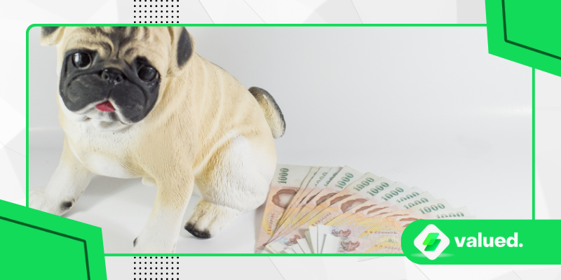 Pet Loans Are a Thing Now — Are They Worth It?